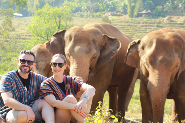 Elephant Jungle Sanctuary - Elephant - Chiang Mai